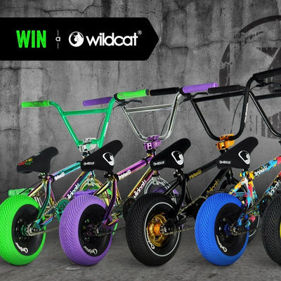 Pre-order and win a Wildcat Mini BMX - Wildcat Mini BMX