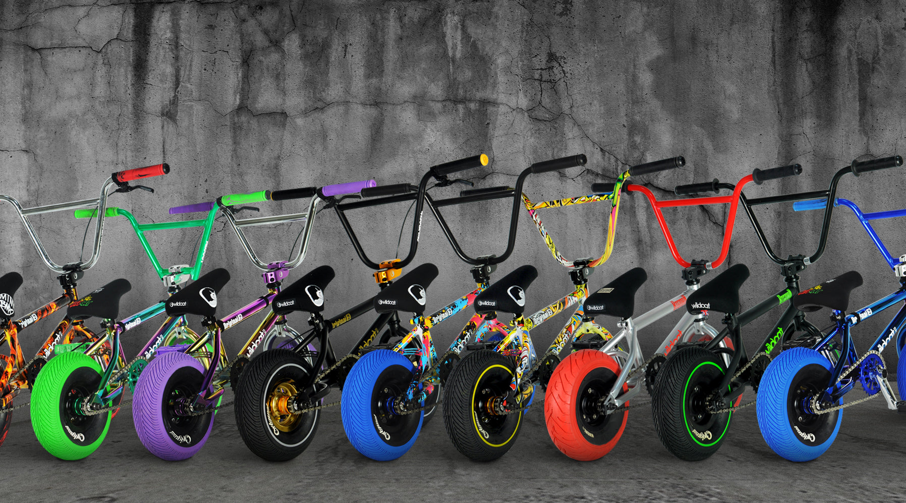 The only Mini BMX with Disc Brakes | Wildcat Mini BMX