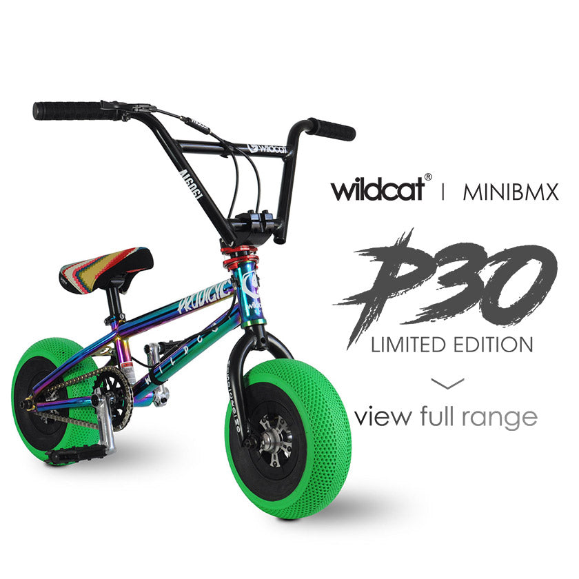 Best Mini BMX in USA + Canada | Wildcat Mini BMX Bikes